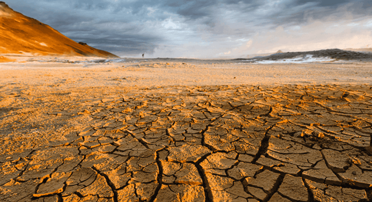 UTAW: Get to know UTAW